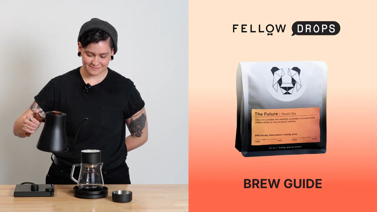 Brew Talks – Fellow