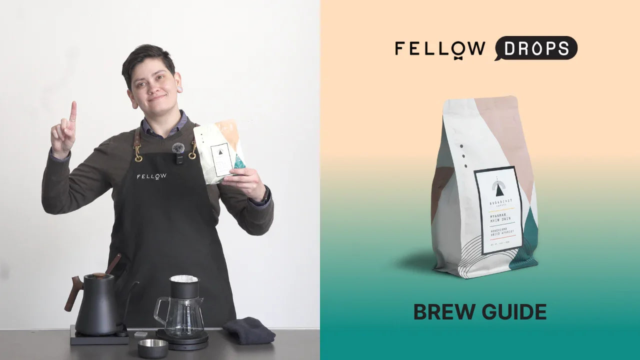 Fellow's Take on Myin Dwin Myanmar from Broadcast Coffee | Brew Recipe