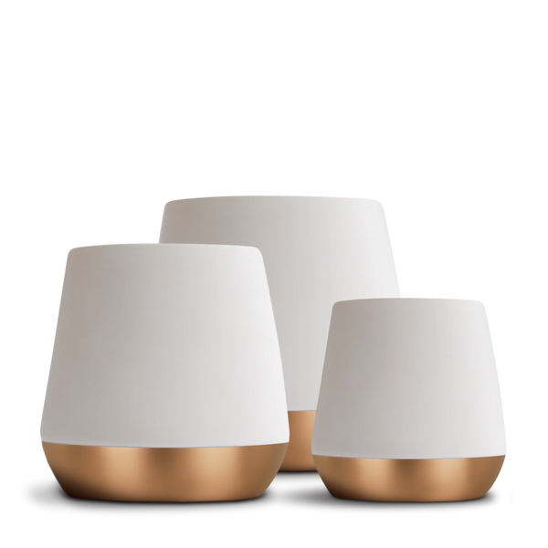 Joey ‎Double Wall Ceramic Mugs | Fellow® Official Store